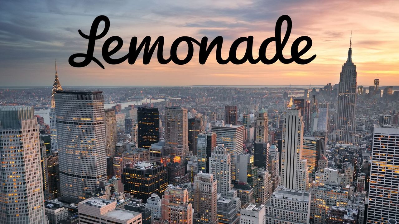 Hi-tech Lemonade turns old-school in C-suite, drops co-CEO structure ...